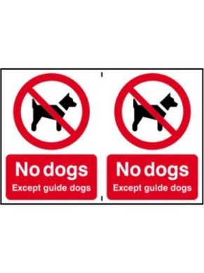 No Dogs Except Guide Dogs Sign
