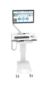 Workstation on Wheels