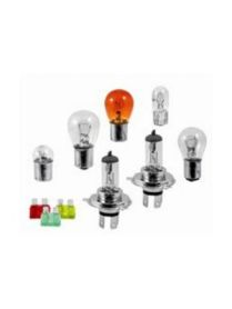 Complete Bulb Kit 10 Piece
