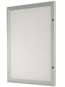 Locking Poster Cases