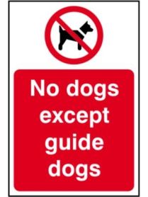 No Dogs Except Guide Dogs Signs