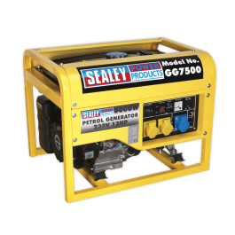 Generator 6000W 110/230V 13hp